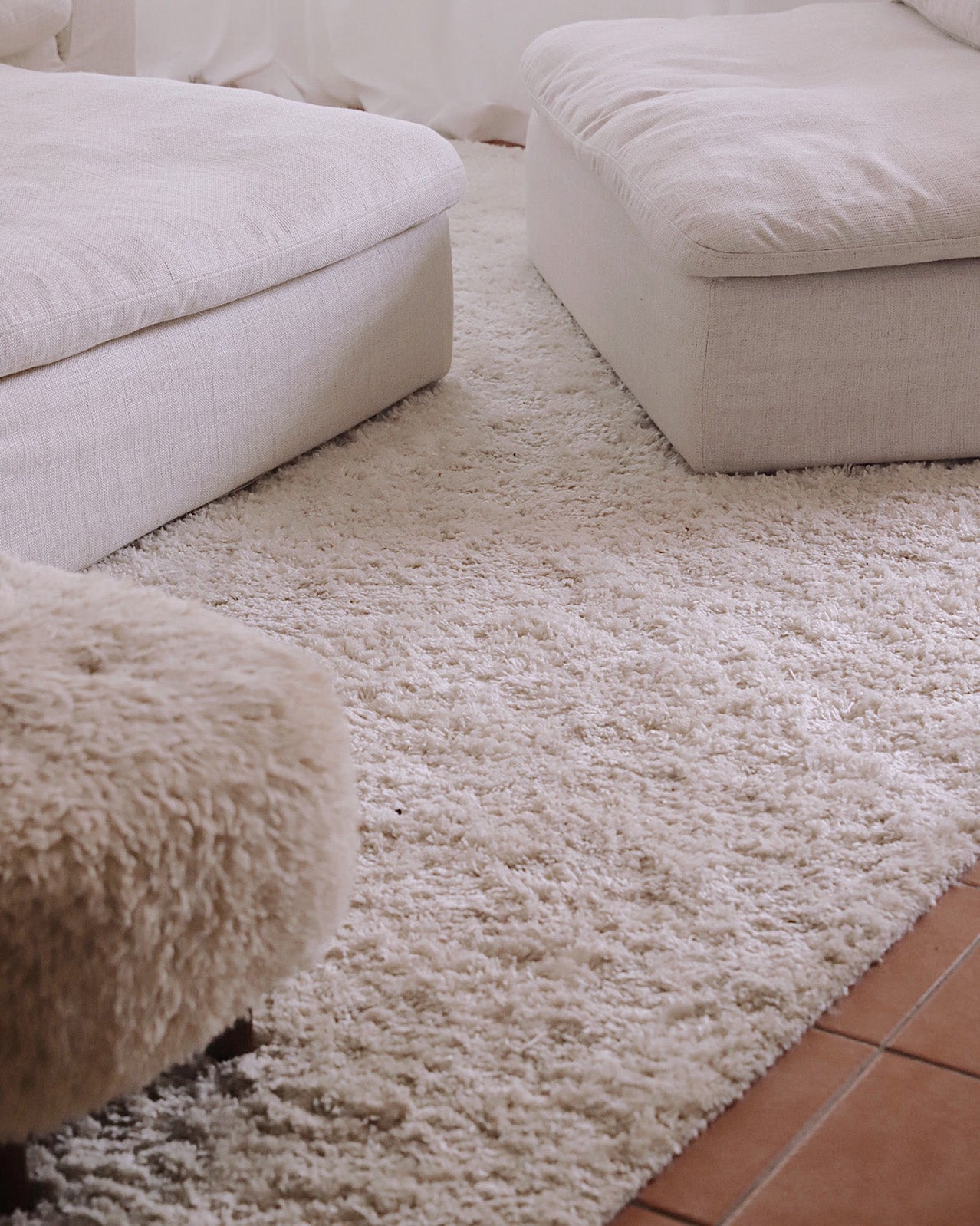 Ernestine Ivory Shag Rug